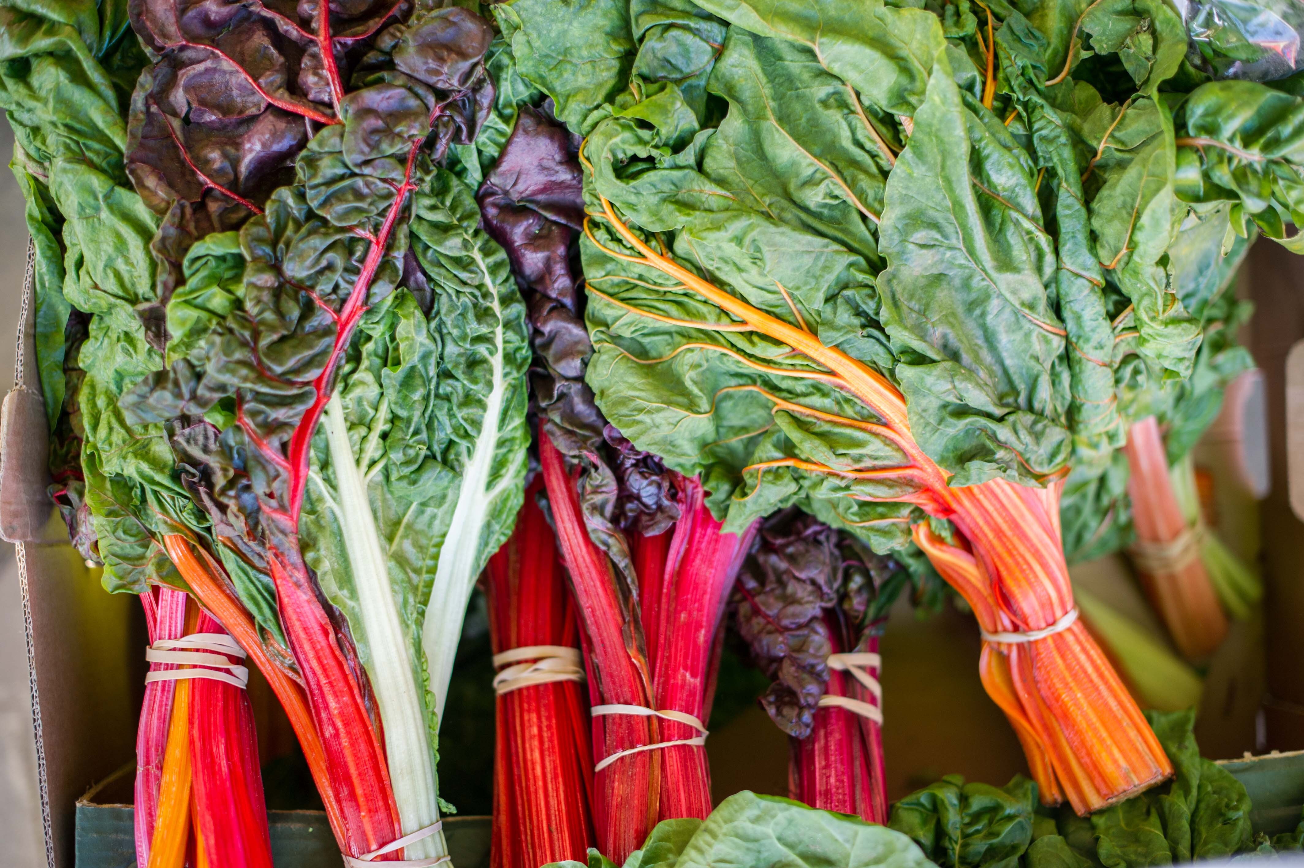 Karma Cans | The Benefits of Seasonal Eating